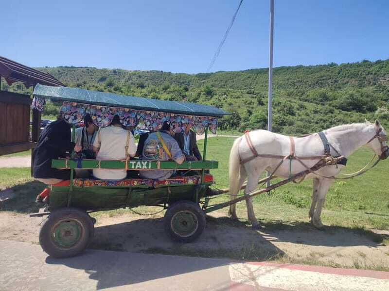 Chisinau: Cricova Wine tour &Old Orhei Archeological Complex