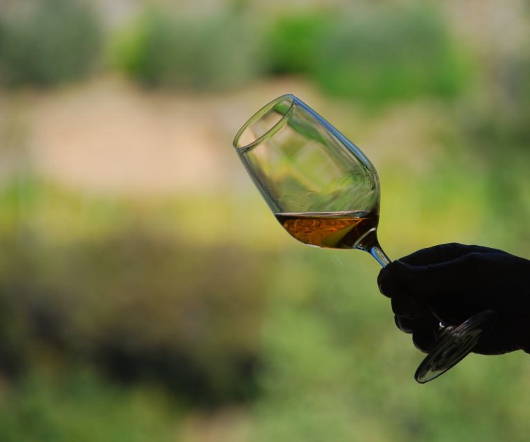 Cinque Terre: Wine Tasting in Monterosso