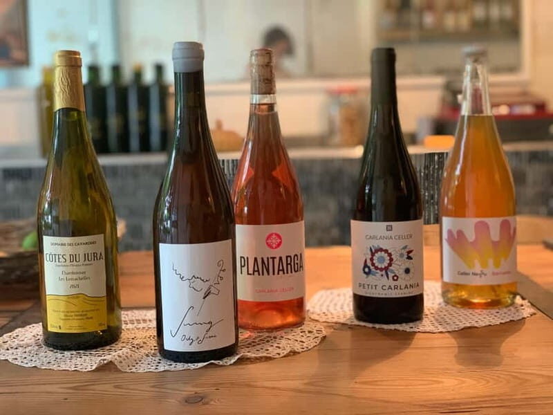 Cordoba: From Vine to Table: A Spanish Wine Experience