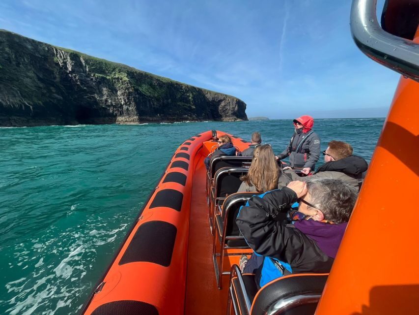 Cornwall: Guided Seal Safari by Boat