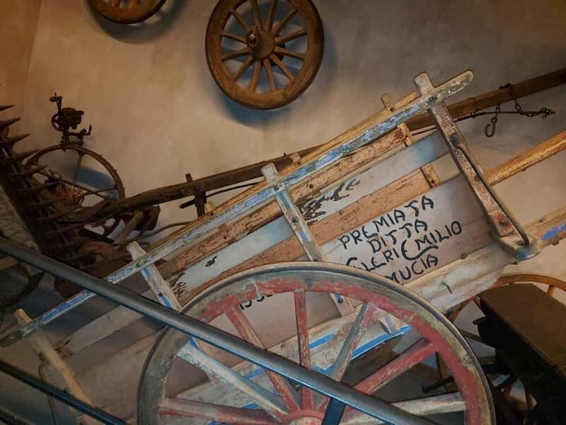 Cortona: Journey Through Time