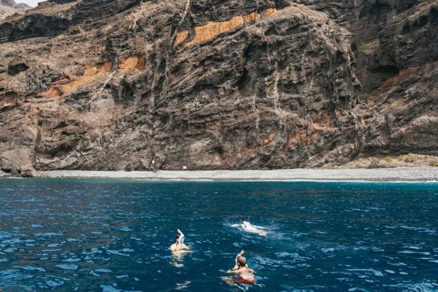 Costa Adeje: Whale & Dolphin Eco-Cruise with Snacks & Drinks