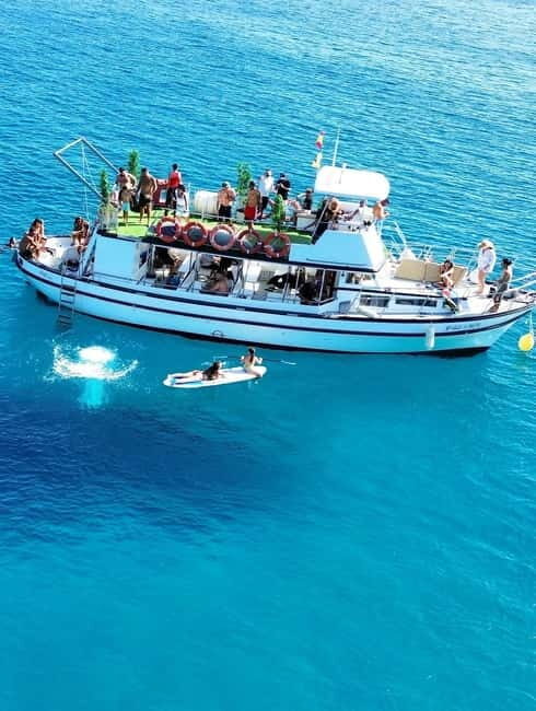 Costa Calma: Fuerteventura Dolphin Watching Boat Tour