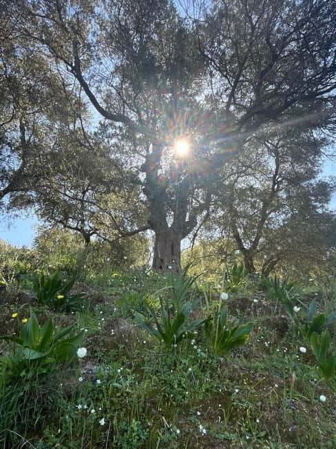 Cretes Secret Trail: Agia Irini Gorge & Sougia Escape - Final Thoughts