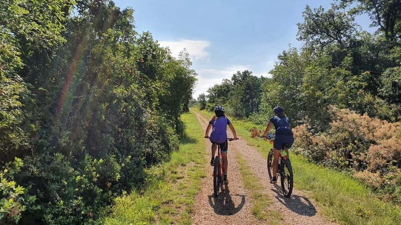 Croatia, Istria: 7-Day Premium Cycling & Gourmet E-Bike Tour