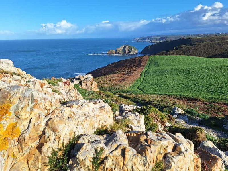 Cudillero, Aviles and Faro de Cabo Peñas tour from Oviedo