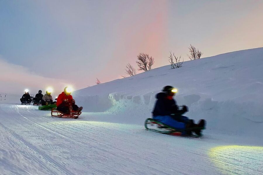 Dagali: 1-Hour Evening Snow Toboggan Adventure