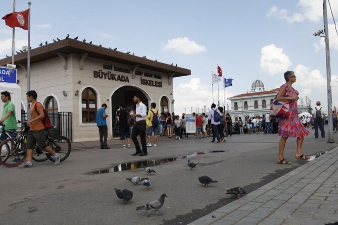 Daily Princes' Islands Tour with Lunch from Istanbul - A Practical Look at the Daily Princes Islands Tour from Istanbul