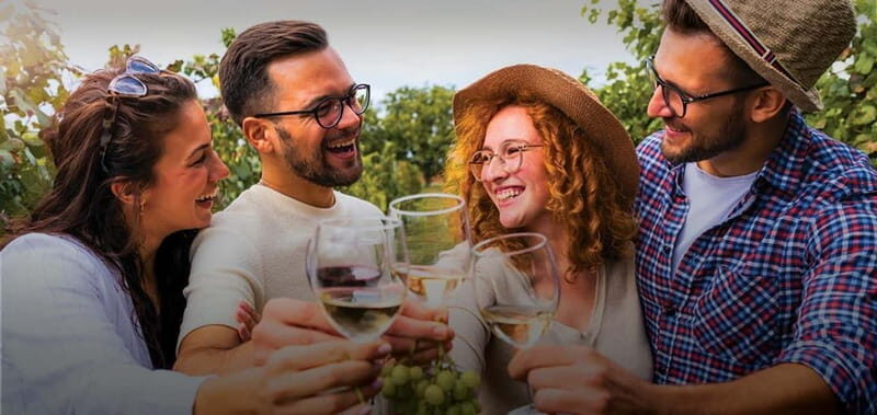 Dão Private Tour: Visit 3 Wineries with Tastings & Lunch