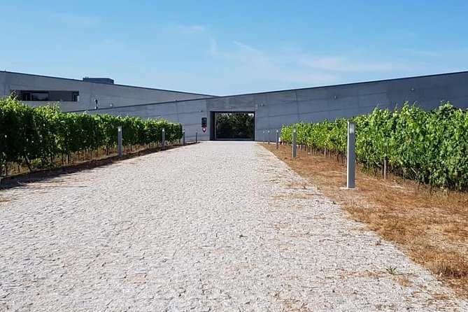 Dão Wine Region: Portuguese version on Bordeaux - Discovering the Dão Wine Region: A Practical Guide to the "Portuguese Bordeaux"