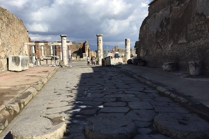 Day Tour of Pompeii Herculaneum and wine tasting - Introduction