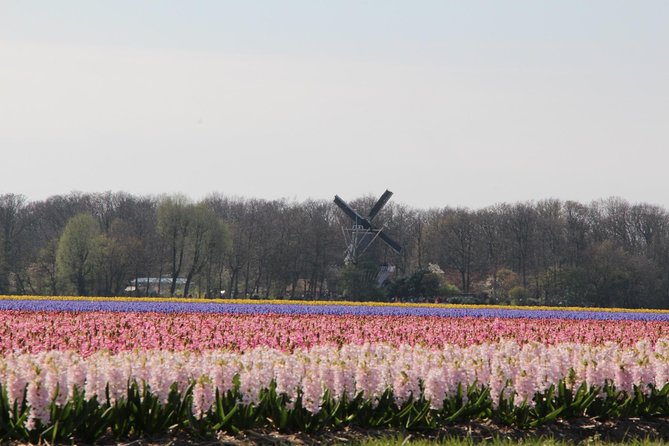 Day Trip To Tulip Gardens Of Keukenhof From Amsterdam: Private & Personalized - Who Will Love This Tour?
