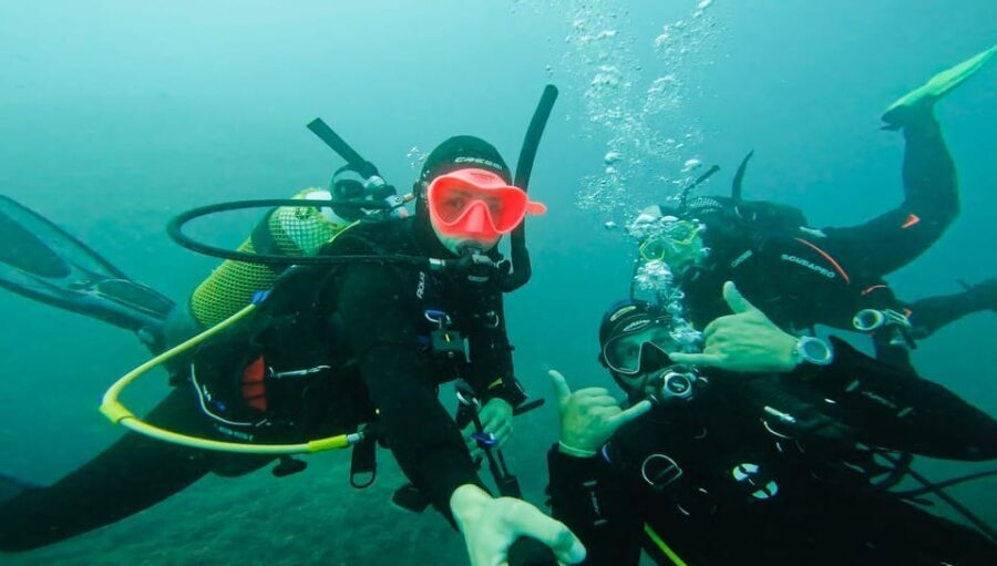 Denia: The fascination of diving on the Costa Blanca - Final Thoughts