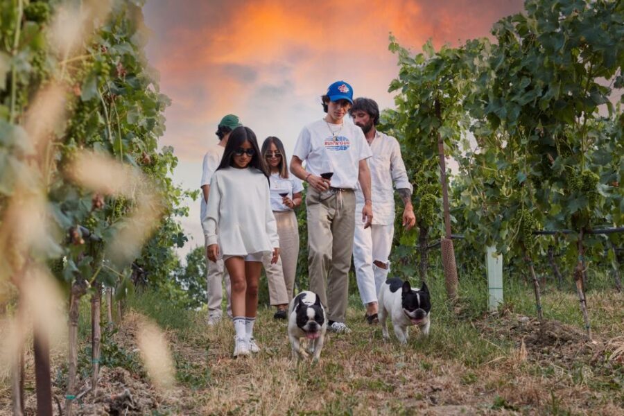 Desenzano: Lugana Wine-Tasting and Vineyard Tour