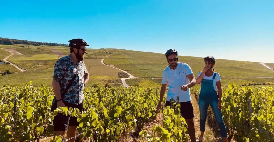 Dijon/Beaune: Full day Ebike Burgundy tour, tastings & lunch