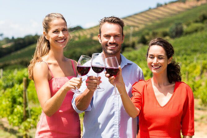 Discover the Winery and Taste fine Wine in Extremadura