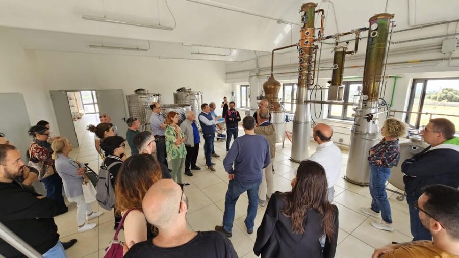 Distilleria Alma- Rum Distilery Guided Tour & Tasting