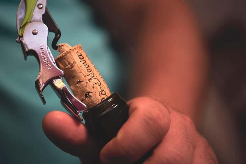 Dogliani: Tasting of 7 Wines in the Heart of the Langhe - What You Can Expect From the Tour