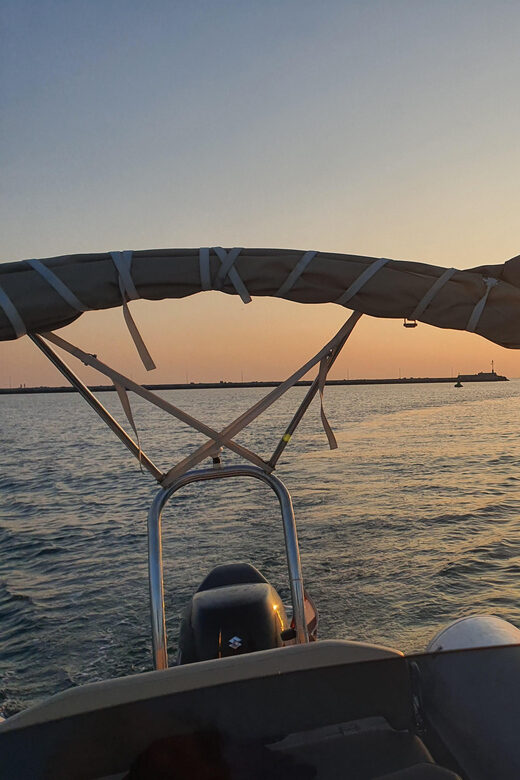 Dolphin safari every evening