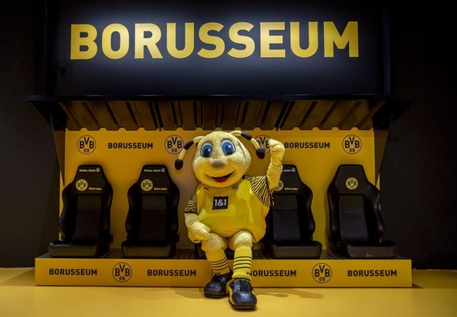 Dortmund: Borusseum Borussia Dortmund Museum Entry Ticket