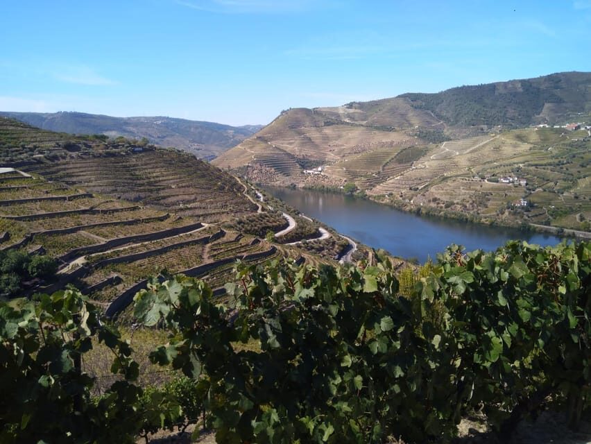 Douro Valley & Amarante - from Porto, Braga or Guimarães - The Itinerary: A Deep Dive