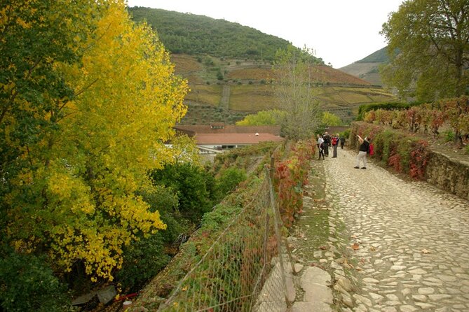 Douro Valley: From Casal de Loivos to Pinhão Walk and Wine Tour - An In-depth Look at the Douro Valley Walk and Wine Tour