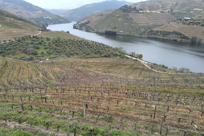 Douro Valley full experience with limited small group - Pinhão: The Heart of the Douro and a Scenic Boat Ride
