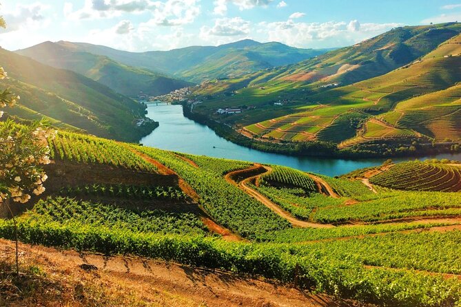Douro Valley tour from Porto - Key Points