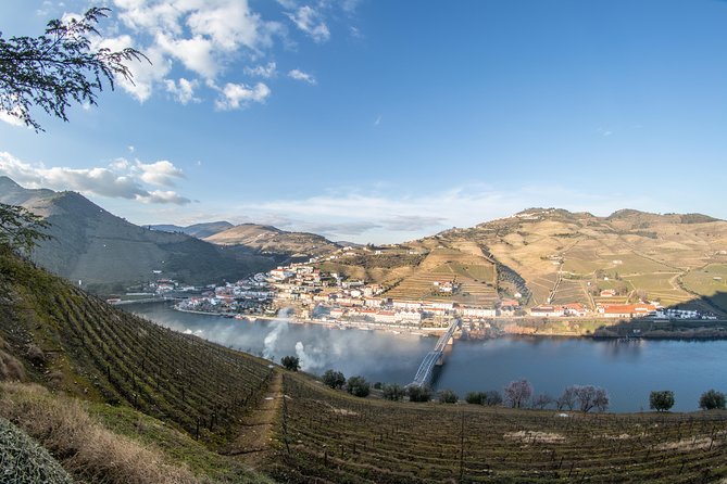 Douro Valley Wine Experience with a Sommelier - Key Points