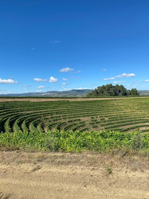 Douro - walking with full fancy lunch and premium wines - The Experience’s Practical Details