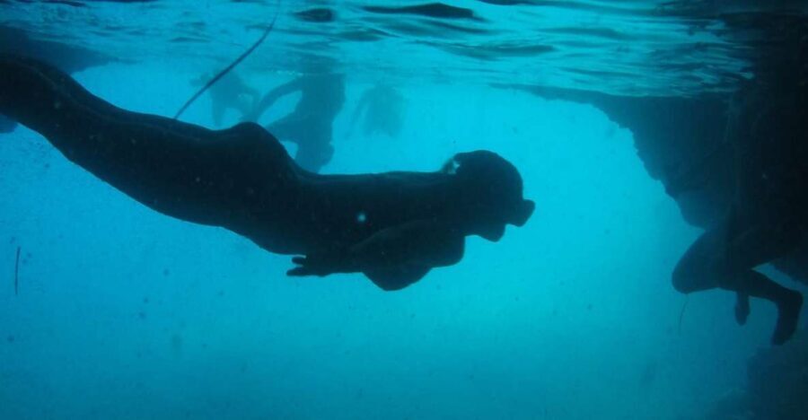 Dubrovnik: Blue Cave & Sunj Beach Boat Tour with Drinks