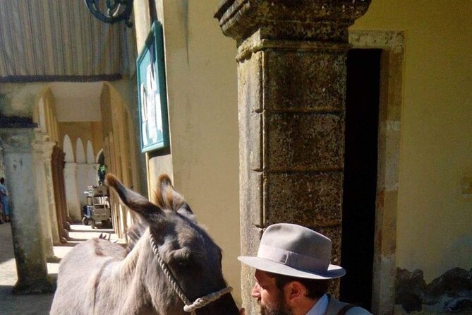 Durrells story half day - What the Tour Offers