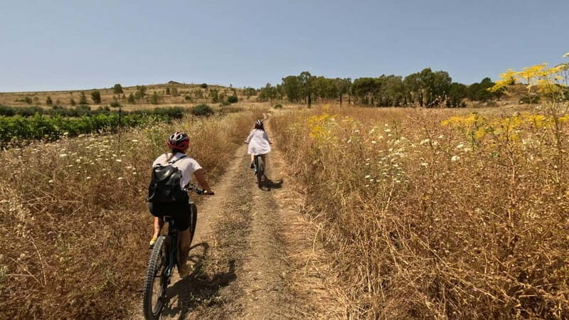 E-bike & Food Experience in the Valley of the Temples: history, nature, and traditions