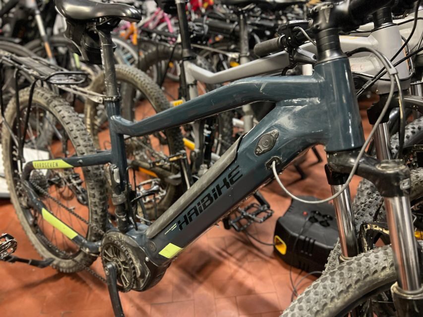 E-bike full day rental: discover Tuscany countryside
