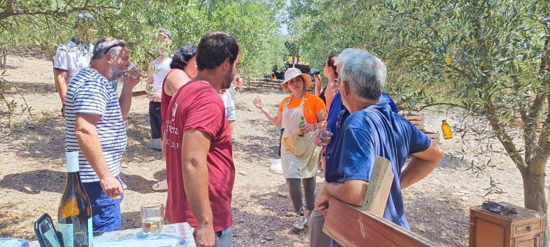 Eat in the vineyards like a Duriense - An In-Depth Look at the Experience