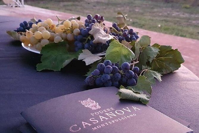 Enjoy a Wine Tasting after a cycling excursion in the magic of Tuscany