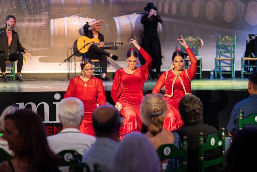 Estepona: Andalusian Flamenco Show Entry Ticket with Drink