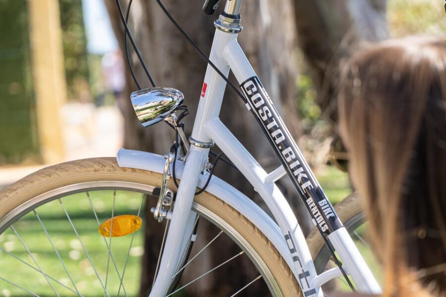 Estepona best kept secrets: City bike guided tour