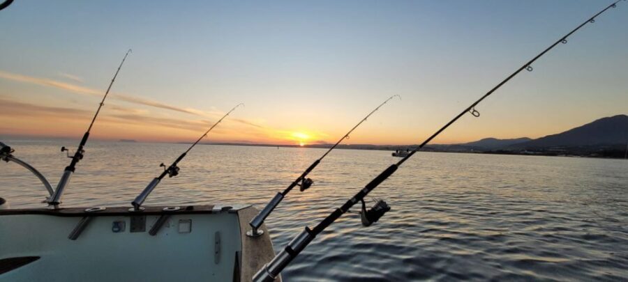 Estepona: Fishing Tour StartFisher 1060