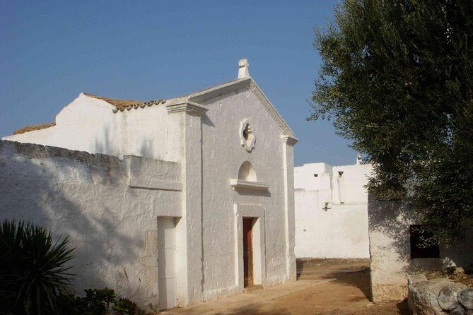 EVO Oil Tasting in Masseria in Ostuni - Introduction: A Taste of Authentic Pugliese Olive Oil