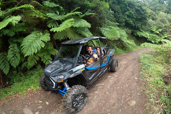 Exclusive Private Buggy Adventure: Forest and Mountains - Key Points