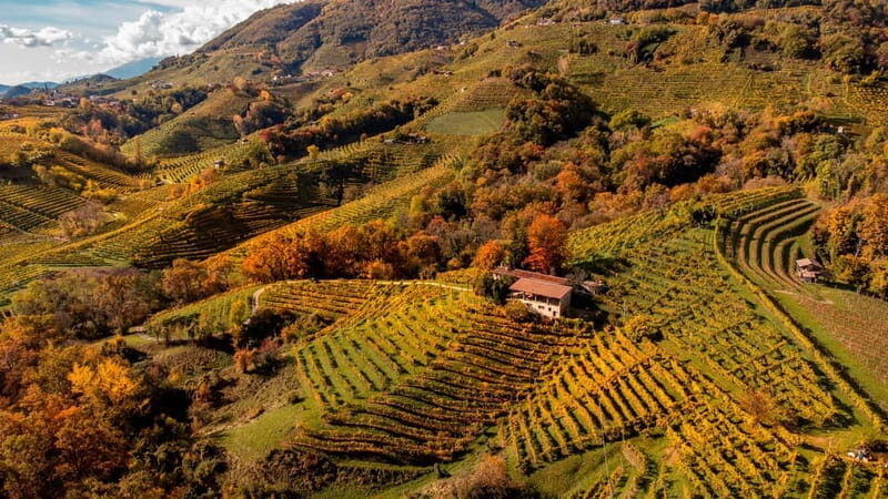 Exclusive Tour through the Riva Gemin