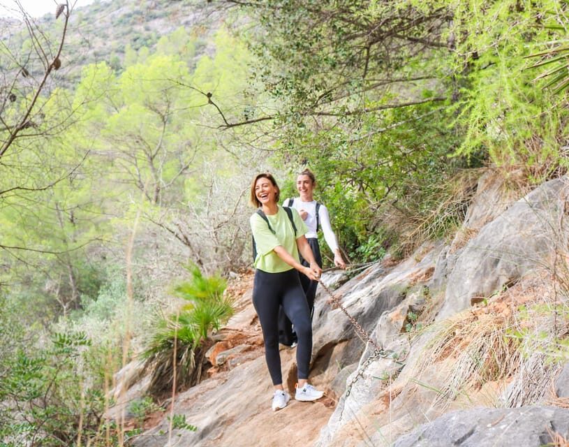 Explore Marbella's Nature: Guided Hiking And Foraging Trip