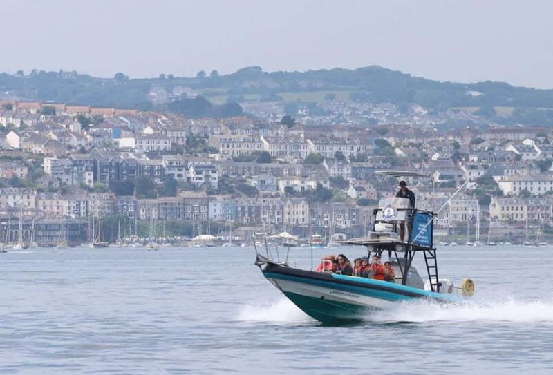 Falmouth: 2 Hour Wildlife Watching RIB Tour