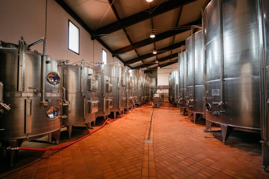 FAMIGLIA COTARELLA, NEAR ORVIETO WINE TASTE AND VISIT