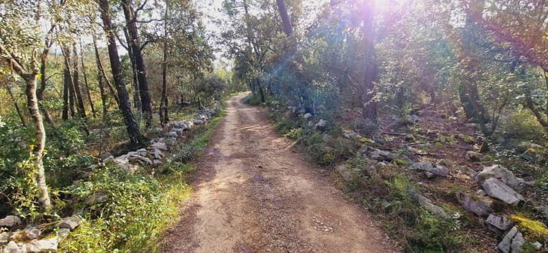 Fátima: E-Bike Tour to Dinosaur Footprints Natural Monument