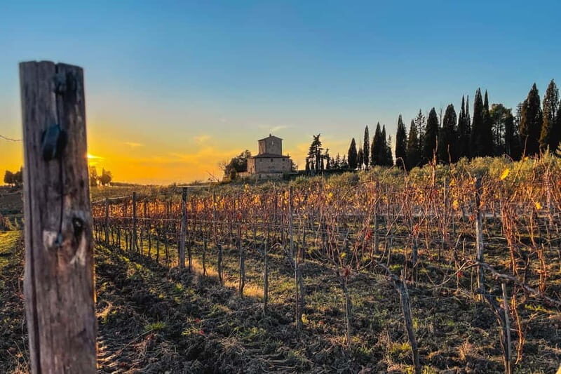 Florence: Hiking Tuscany & Chianti wine 3 wineries and lunch