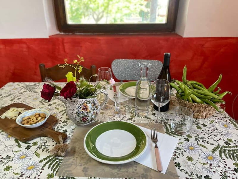Frascati: Vineyard Wine Tasting Tour with Snacks