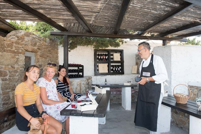 From Ano Mera: Day Tour & Wine Tasting with dinner At A Farm