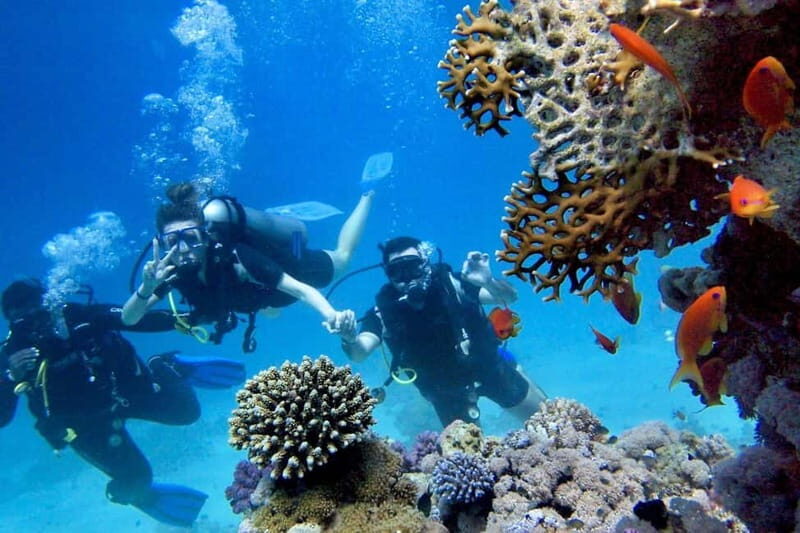From Antalya: Scuba Diving With Lunch and Transfer